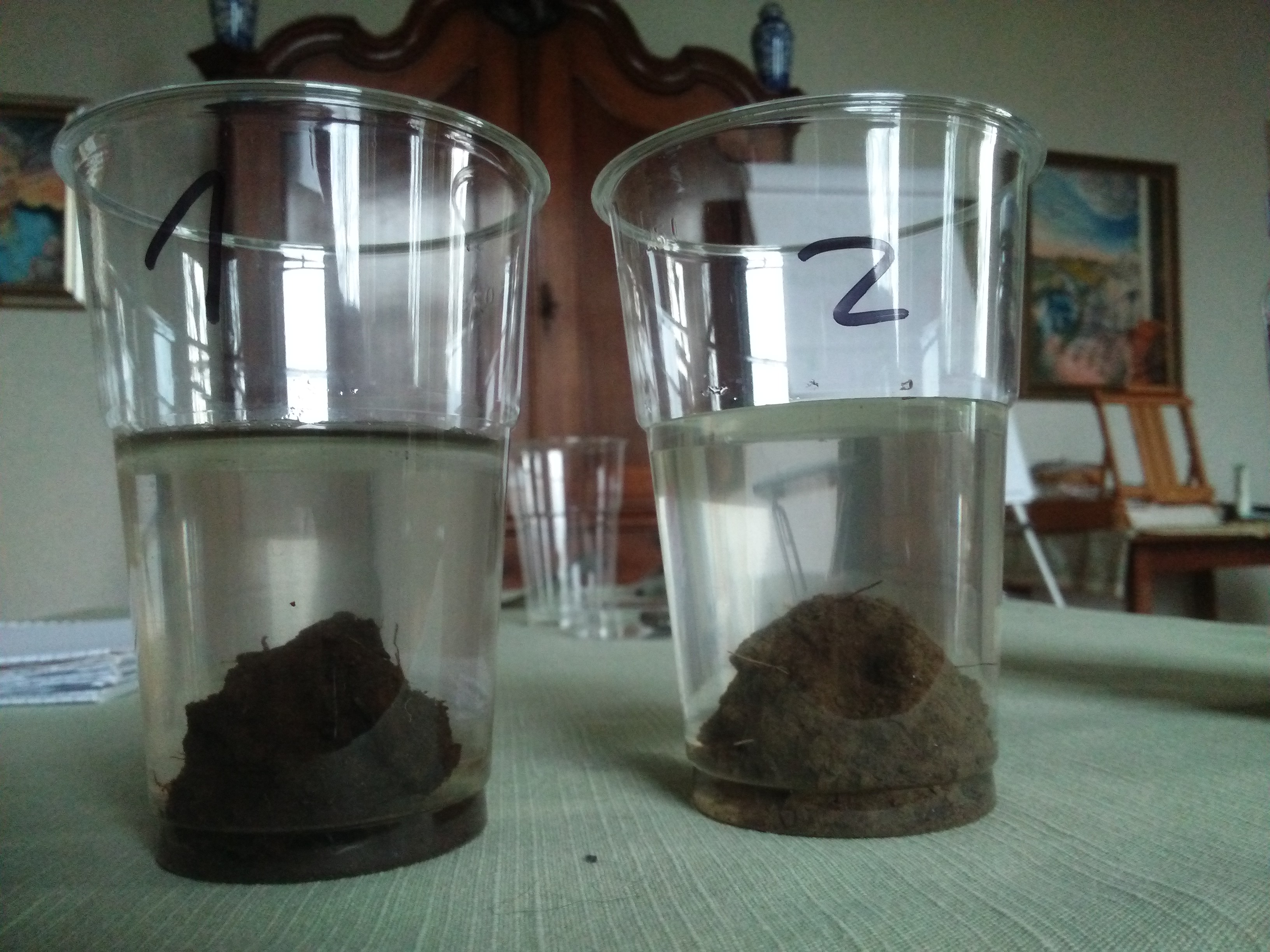 soil-stability-test-structure | ROCKINSOILS