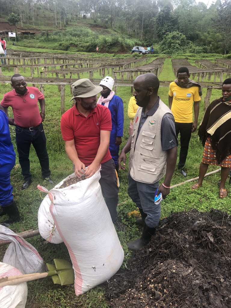 Project Organic Coffee in Rwanda | ROCKINSOILS